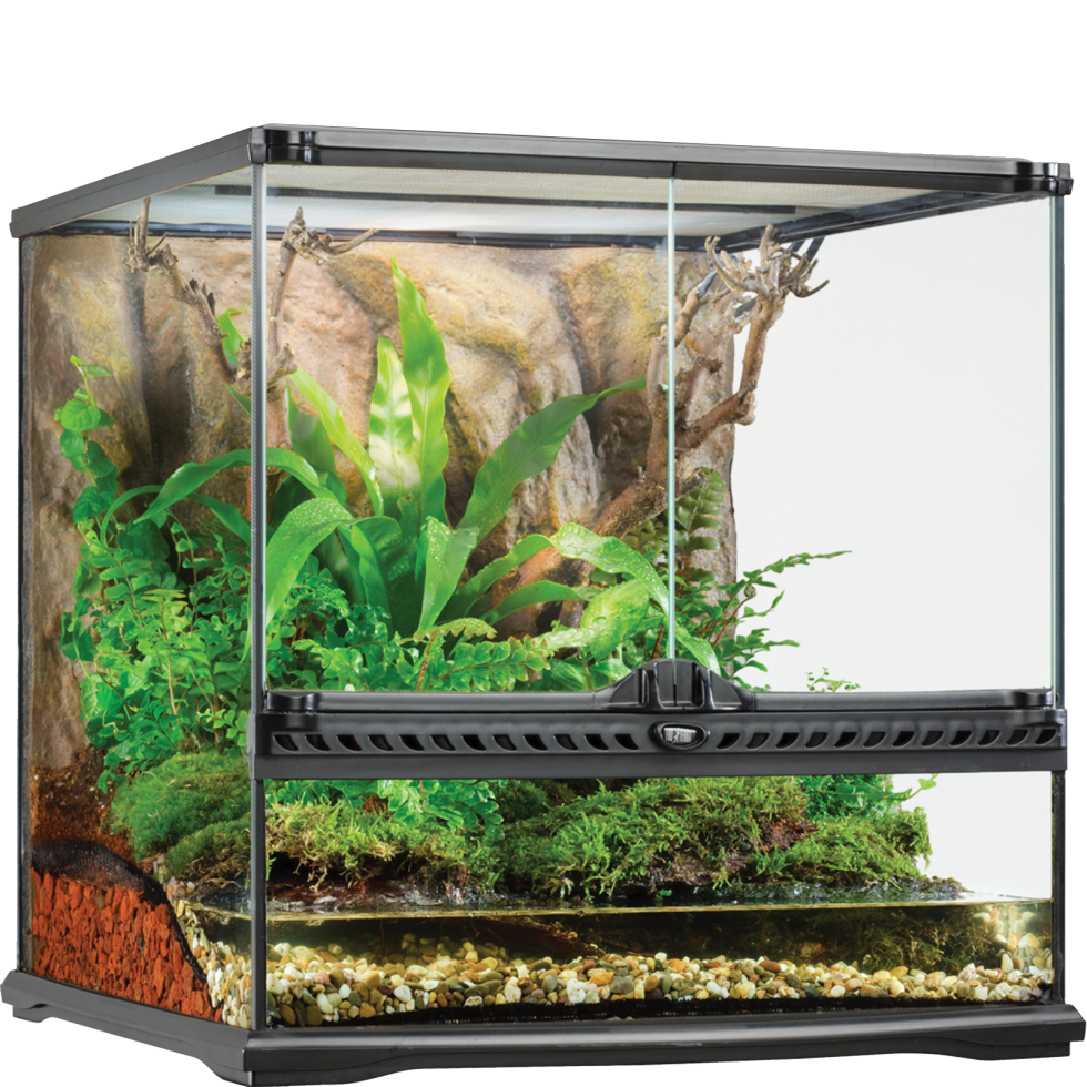 Terrariums - Exo Terra