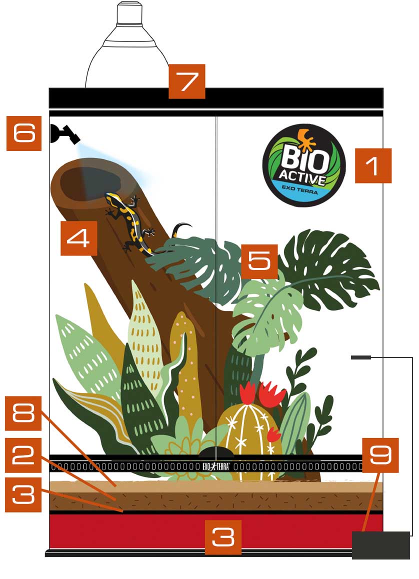 How to set up a bioactive terrarium - Exo Terra