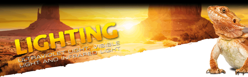 Lighting - Exo Terra