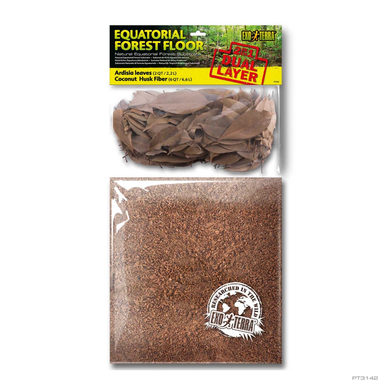 Six-striped Long-tailed lizard