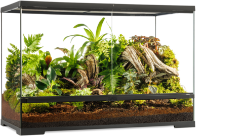 Pro Terrarium Small Low
