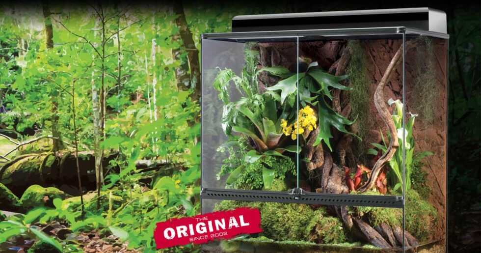 Terrarium Types - Exo Terra