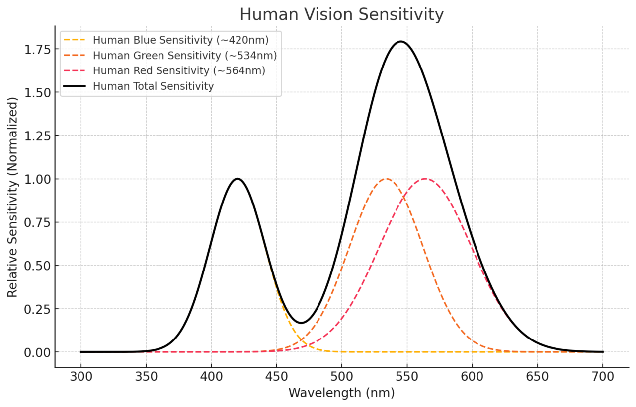 The Role of Visible Light in Reptile Biology - Exo Terra