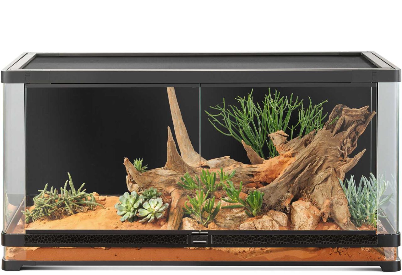Terrariums - Exo Terra FR